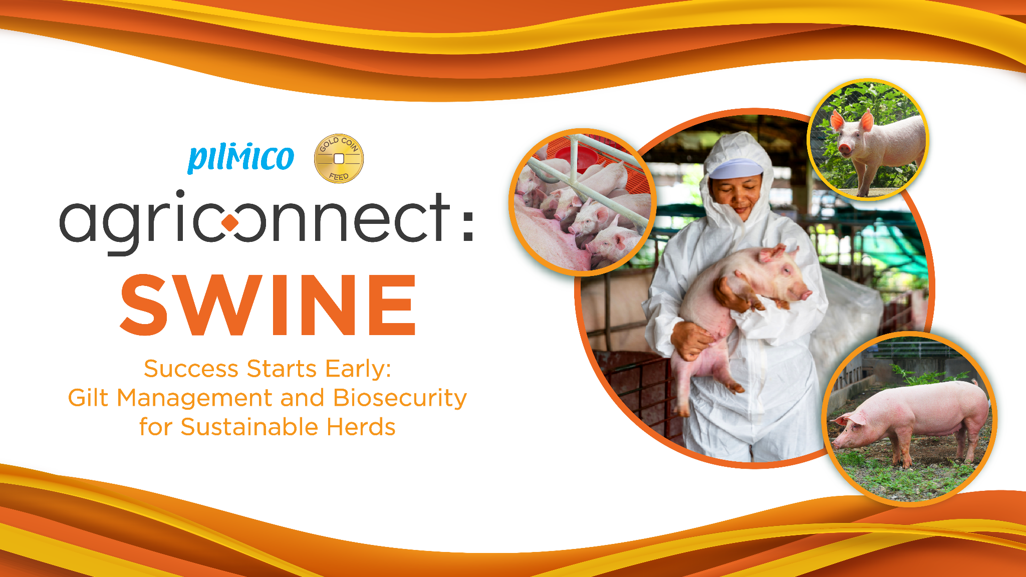 Agriconnect Swine 2025 (Chinese)